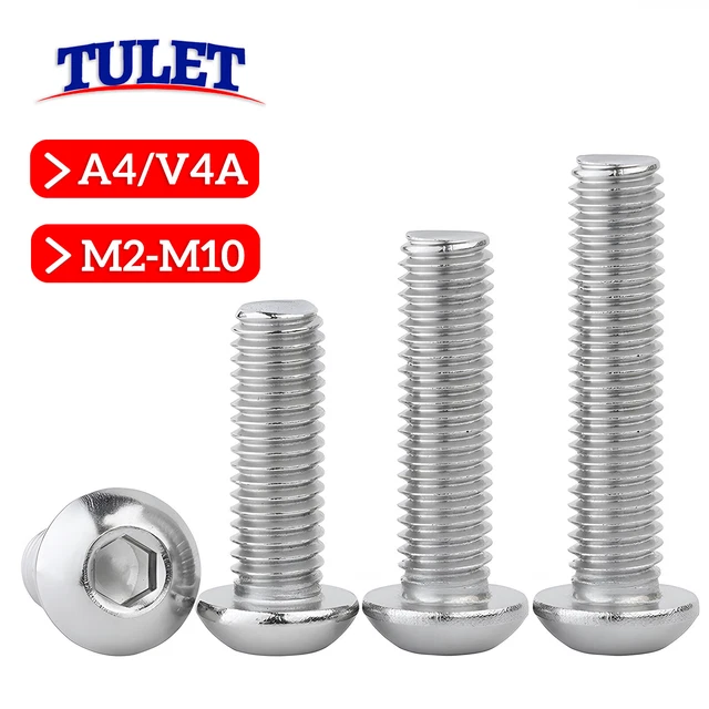 LINSENKOPFSCHRAUBEN M2 M2,5 M3 M4 M5 M6 M8 M10 ISK Edelstahl A4 V4A DIN ISO 7380 EUR 1,89 ...