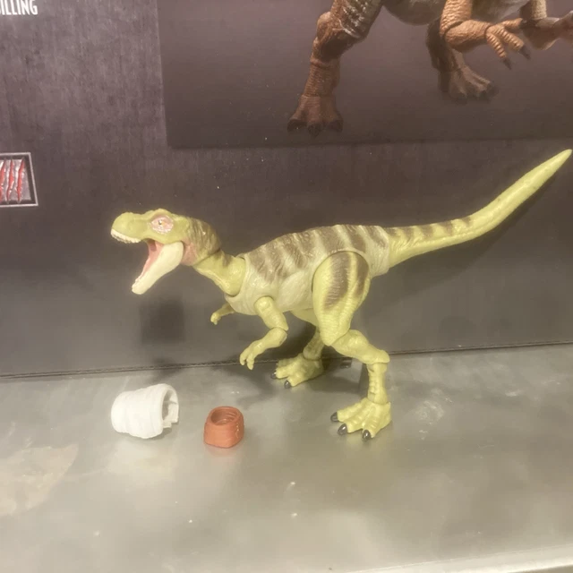 JURASSIC WORLD HAMMOND Collection Juvenile Tyrannosaurus Rex T-Rex Baby ...