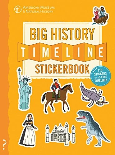 THE BIG HISTORY Timeline Stickerbook: From the Big Bang to the P £75.00 ...