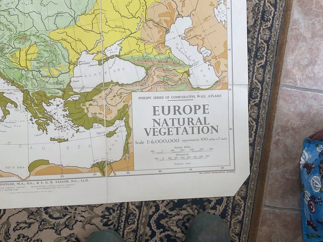 OLD SCHOOL MAP. Europe. Natural Vegetation £25.00 - PicClick UK