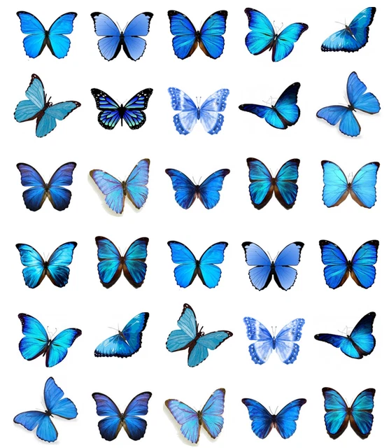 Blue Butterflies 30 Cupcake Toppers Edible Wafer Paper Fairy Cake