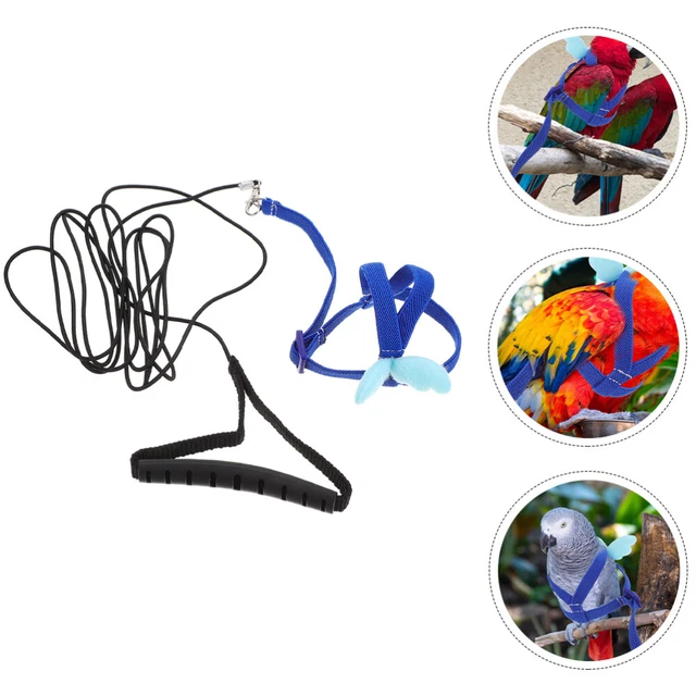CORDE VOLANTE PERROQUET Harnais Laisse Porte-fruits Pour Oiseaux EUR 13 ...
