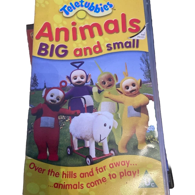 TELETUBBIES - ANIMALS Big And Small (VHS, 2001) £9.11 - PicClick UK