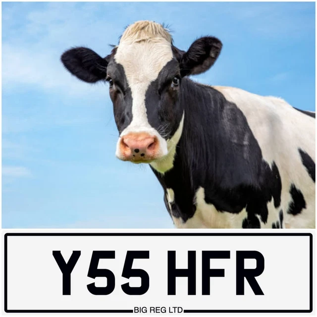 YES HEIFER 🐄 Cow Moo Coo Farm Prefix Private Registration Number Plate ...