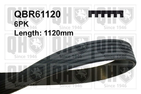 6 RIB MULTI V Drive Belt fits VW CADDY Mk2, Mk3 1.6 96 to 10 QH ...