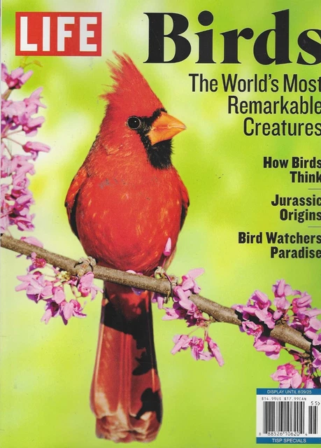 LIFE MAGAZINE PRESENTS Birds 2025 world's most remarkable Creatures. £ ...