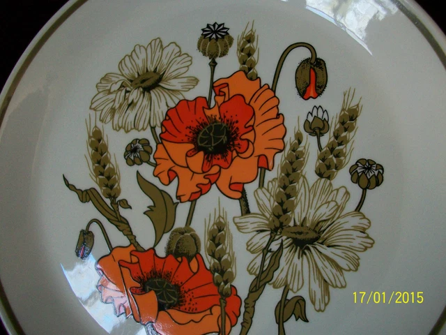 J G MEAKIN. Studio Pottery. Poppy ONE .Dinner Plate. 10 ins (dished ...