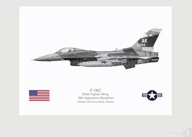 WARHEAD ILLUSTRATED F-16C 18th Aggressor Squadron #63 Aircraft Print ...