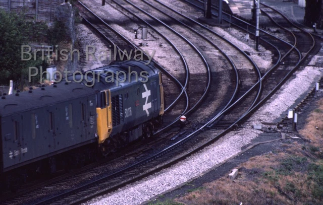 35MM SLIDE BR British Railways Diesel Loco 50036 Class 50 at Totnes ...