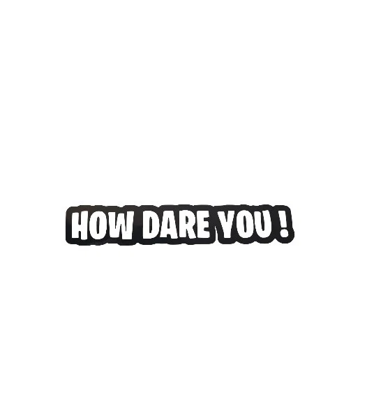 How Dare You Greta Thunberg Funny Drift Van Jdm Euro Vw Car Sticker Vinyl Decal £299 Picclick Uk