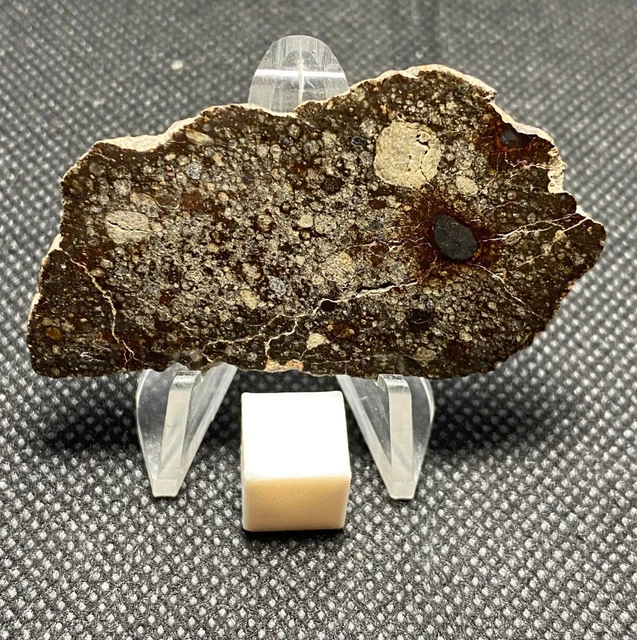 NWA X CHONDRITE, massive Armored Chondrule, 11.5 Grams Polished Slice ...