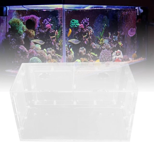 FISH BREEDING BOX Mesh Side Fish Tank Incubator Impact Resistant ...