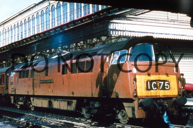UK DIESEL TRAIN Railway Photograph Of Class 52 Western D1015. Rm52-55 £ ...