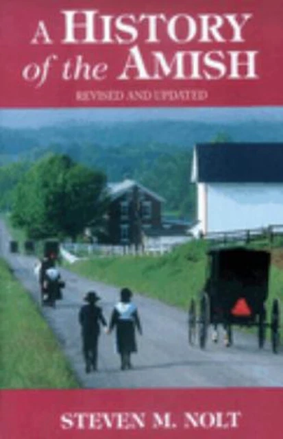 HISTOIRE DE THE Amish: Révisé Et Updated Livre de Poche Steven M. Non ...