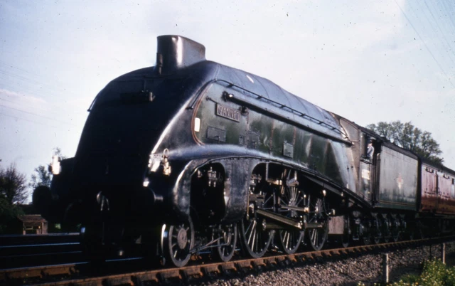 RAILWAY COLOUR SLIDE. A4 60032 Gannet at Offord April 1963. £1.20 ...