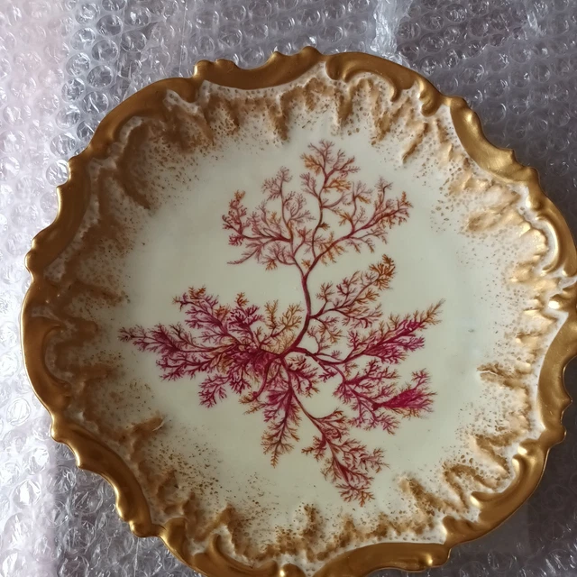 LIMOGES PURPLE FERN Porcelain Plate Gilt Rim Star Mark D 9 1/4" £82.84 ...