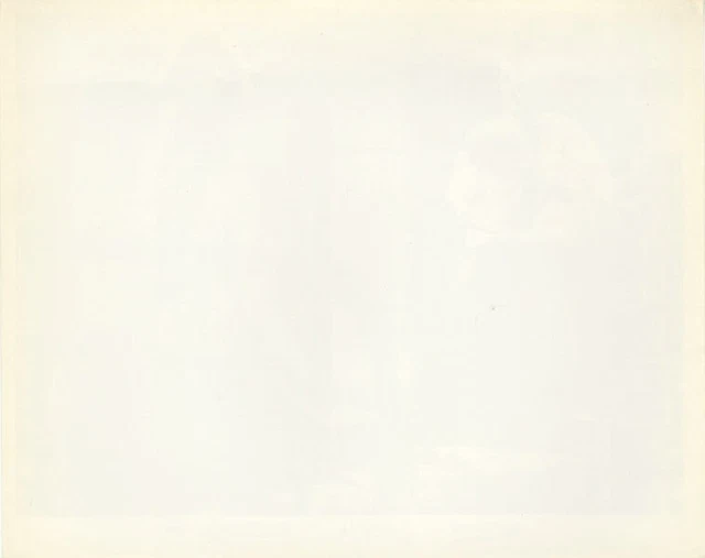 Please Not Now Brigitte Bardot Sensual Risque Bare Back Original 8x10 Photo 1963 £2081