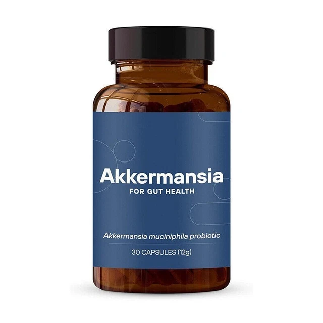 UK AKKERMANSIA MUCINIPHILA Probiotic - 30 Caps - Gut Health Support ...
