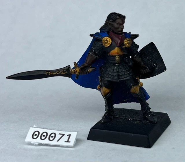 SELAFYN LIMITED EDITION High Elf Hero Metal Elves Aos Warhammer Fantasy ...