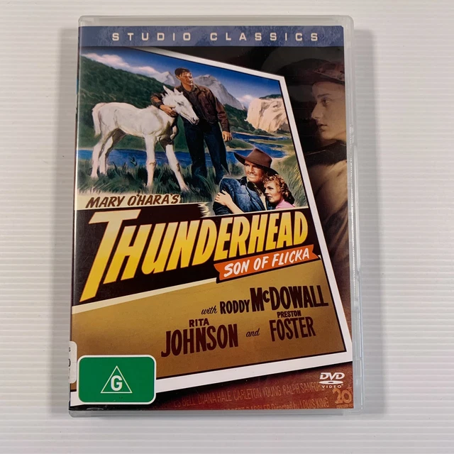 THUNDERHEAD - SON Of Flicka (DVD, 1945) Roddy McDowall, Preston Foster ...