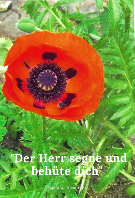 PSALMENKARTE &DER HERR segne und behüte dich" Psalm 4, Mose 6,24 - Neu EUR 2,20 - PicClick DE