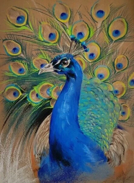DISEGNO ORIGINALE A pastello Ritratto di un pavone 40 x 30 cm Fatto a ...
