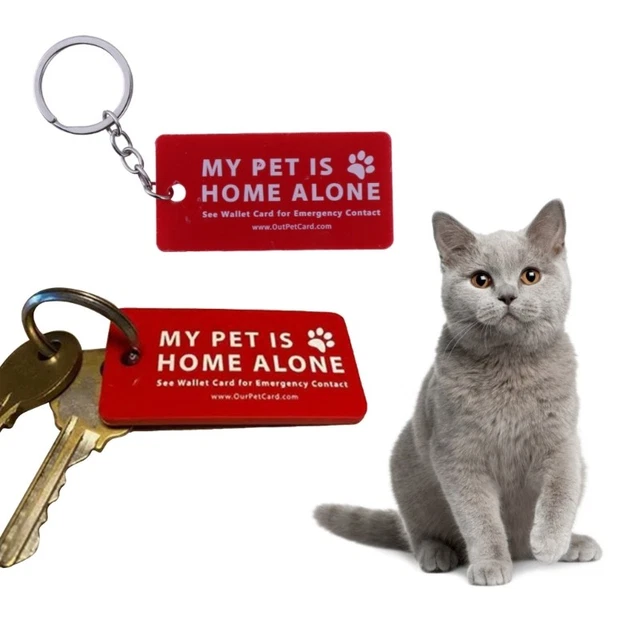 CARD KEY WITH Emergency Contact Call Cards Pets Emergency Contact ...