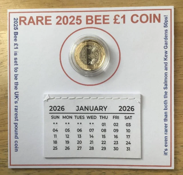 THE 2025 BEE £1 is a sought-after coin with 2026 calendar. £5.43 ...