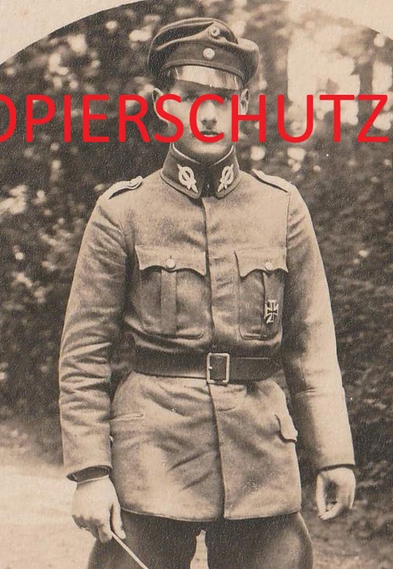 FOTO PORTRAIT FREIKORPS Deutsche Schutzdivision Uniform Kragenabzeichen ...