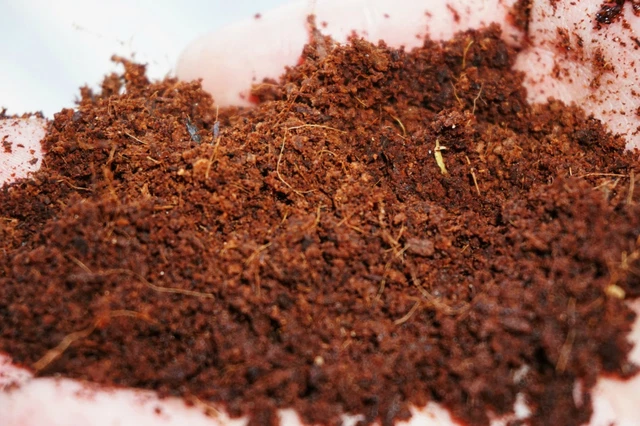 2L COCONUT COIR Coco Peat Compost Fibre Organic Soil Hydroponics ...