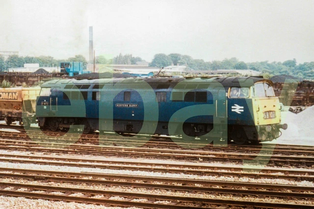UK DIESEL TRAIN Railway Photograph Of Class 52 Western Loco D1072. Rm52 ...