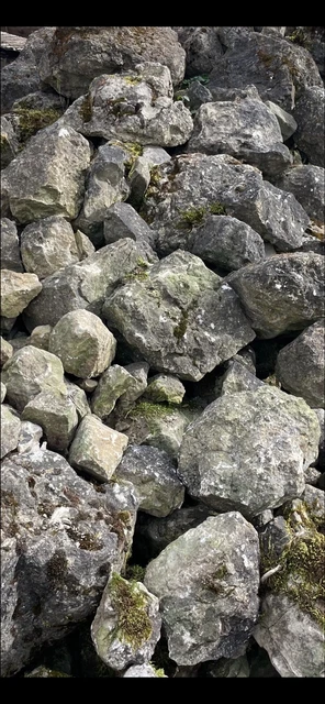 KENT RAGSTONE GABION Wall Garden Rocks For Rockery Pond Landscaping £ ...