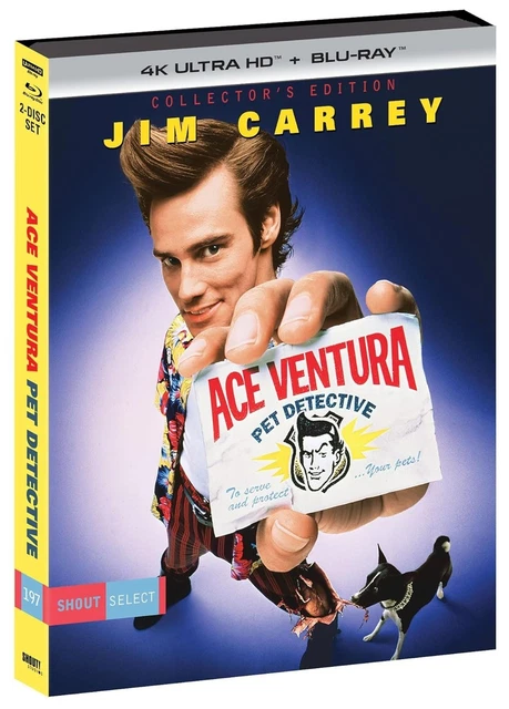 ACE VENTURA: PET DETECTIVE 1994: Jim Carrey NEW US RgFree 4K UHD +RgA BLU-RAY sp $66.95 ...
