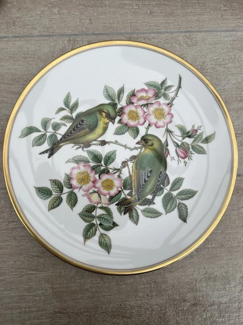 SPODE FINE BONE CHINA Green Finches Plate garden birds £9.04 - PicClick UK