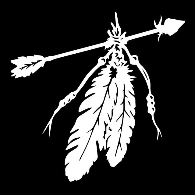 NATIVE AMERICAN INDIAN Arrow /Feathers Sticker Truck Laptop Car Bumper ...