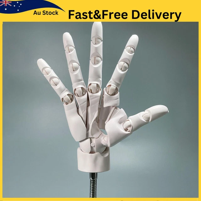 DRAWING ART MODEL &Hand Model Artists Hand Manikin Mannequin Joints ...