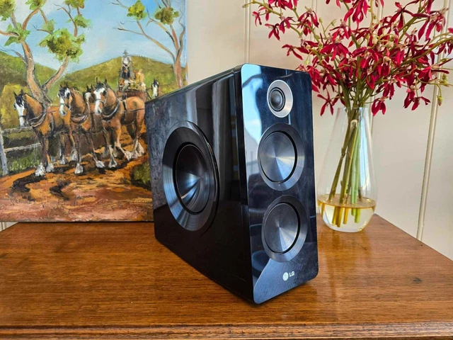 LG FBS166V 3-WAY Bass Reflex Speaker 80W 4Ohm Driver HIFI Stereo ...