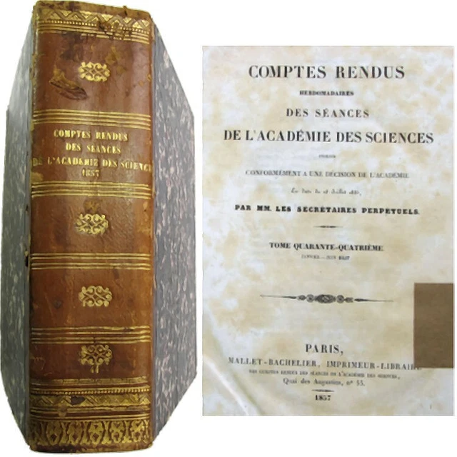 COMPTES RENDUS HEBDOMADAIRES séances de l Académie des sciences tome 44 ...