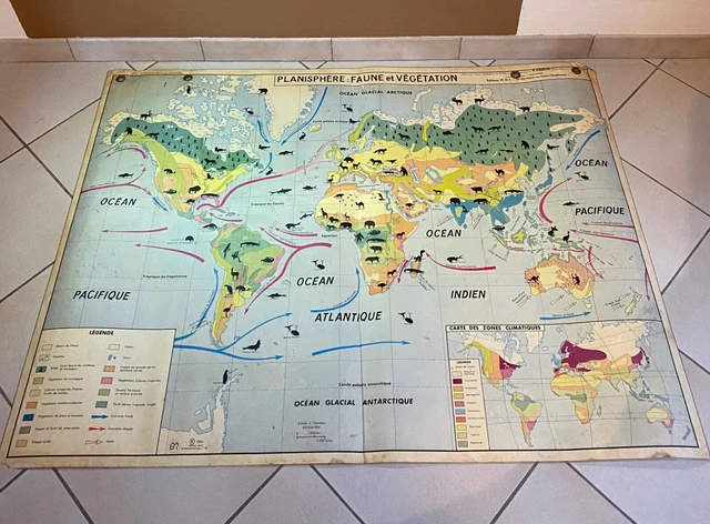 OLD POSTER SCHOOL card educational planisphere wildlife vegetation £49. ...