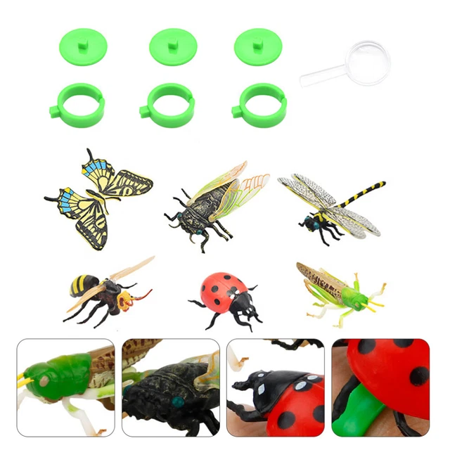 INSECTES FIGURINES ENFANTS Science Jouet Sable Insectes Modèle EUR 11 ...