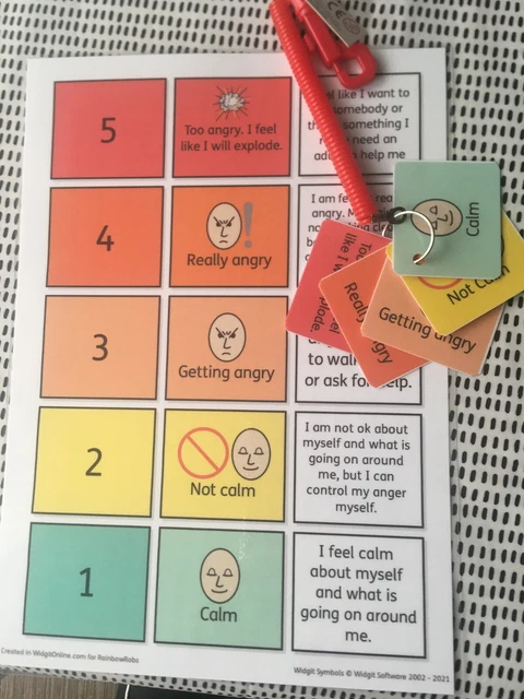 TERMOMETRO RABBIA 5 punti scala sensazioni grafico ASD ADHD SEN autismo ...