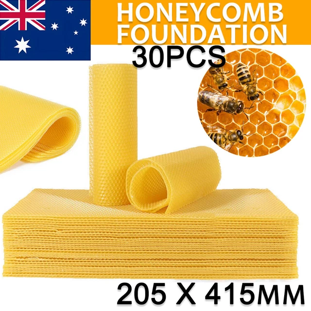 30PC BEE HIVES Wax Frames Honeycomb Foundation Sheets Beekeeping Honey ...