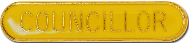 COUNCILLOR PIN BADGE in Yellow Enamel With Rounded Edge £6.25 - PicClick UK