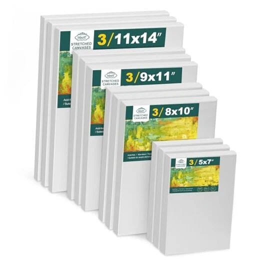12 PACK STRETCHED Canvases for Painting with 11x14, 9 x12, 12PCS ...