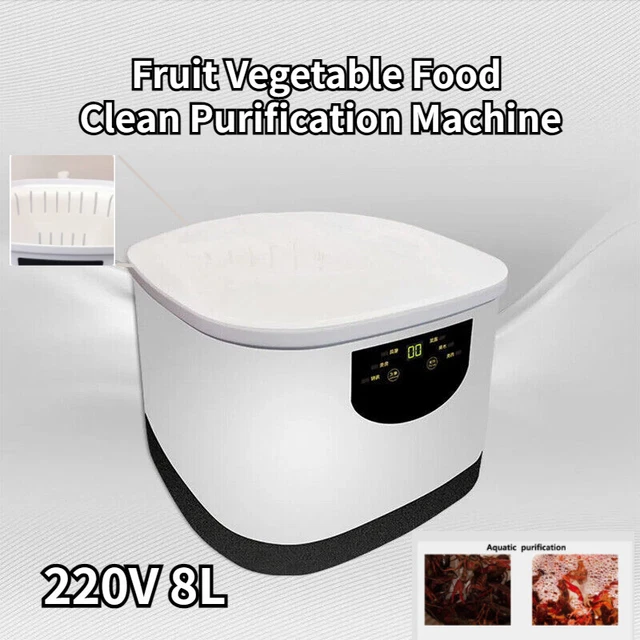 STERILIZER OZONE GENERATOR Fruit Vegetable Food Clean Purification Machine 220V $226.59 ...