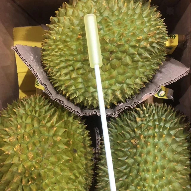 RIPE DURIAN TESTING Tool Durian Fruit Testing Stick for Shop Retail ...