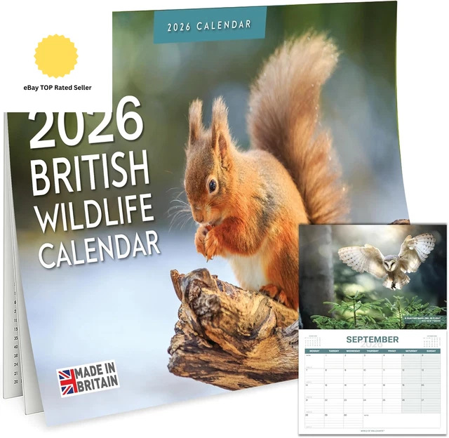 CALENDAR 2026 – UK British Wildlife – 2026 UK Calendar with Nature ...