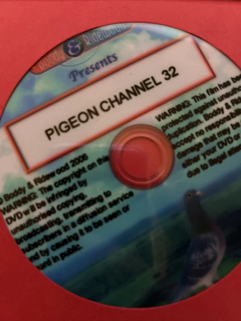 PIGEON CHANNEL 32 - Racing Pigeon DVD £14.50 - PicClick UK