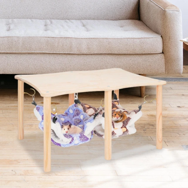 HAMAC DE COCHON d'Inde suspendu au lit de hamac pour l'écureuil du ...