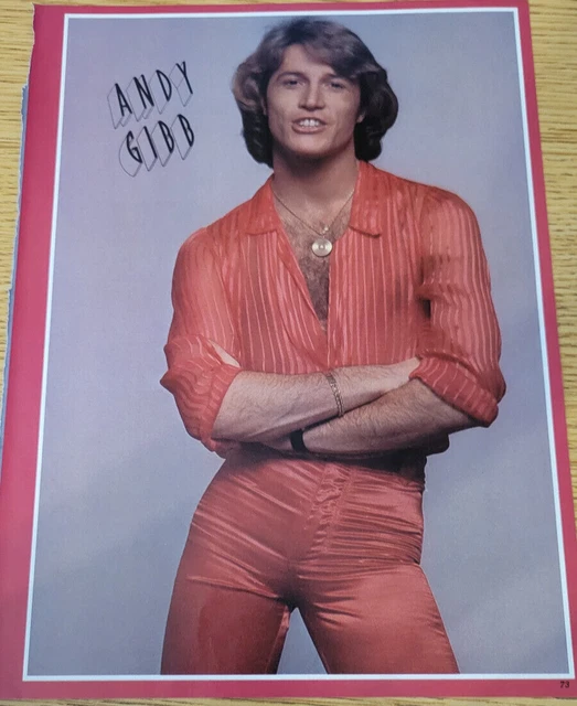 ANDY GIBB PINUP (BEE GEES) 0007 CHEST SHOWING £6.48 - PicClick UK